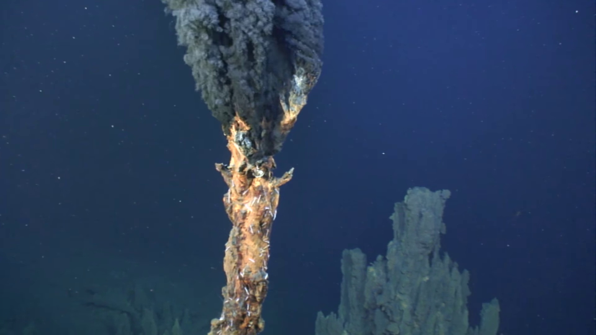 Deep-Ocean Seamount Digital