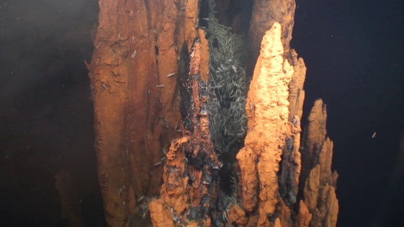 Deep-Ocean Seamount Digital