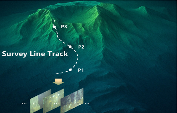 Deep-Ocean Seamount Digital